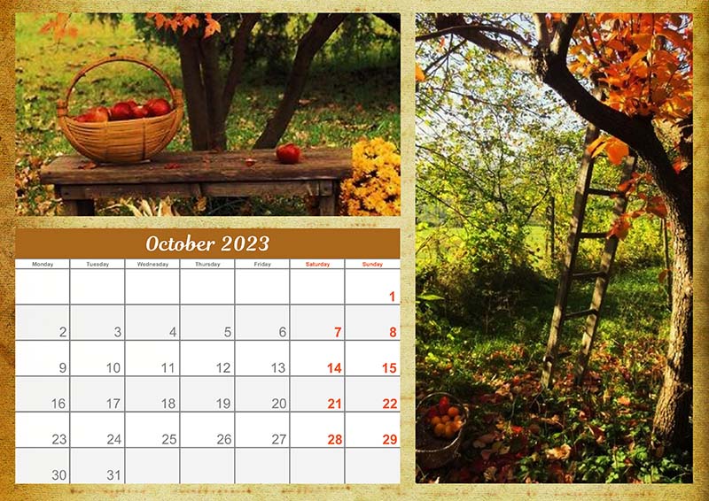 2023 Monthly Photo Calendars Dozens Of Gorgeous Designs